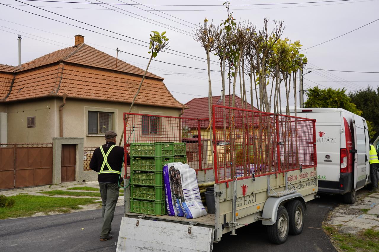 V našom meste sa začala výsadba stromov! - Oficiálna stránka Mesto Kolárovo